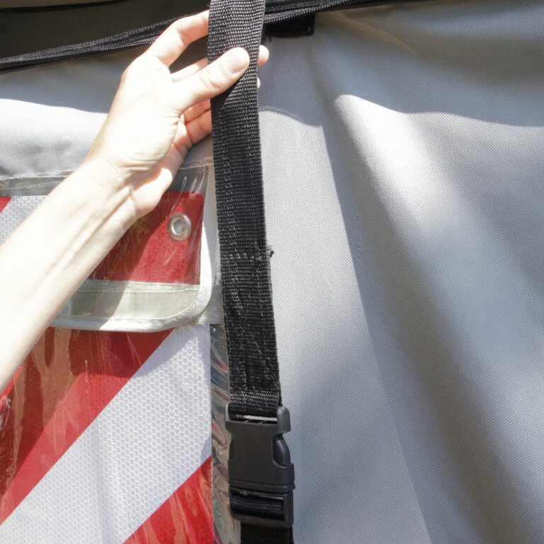 Fiamma Gepäckbox Cargo Back sicher kaufen » camping-4-you.de